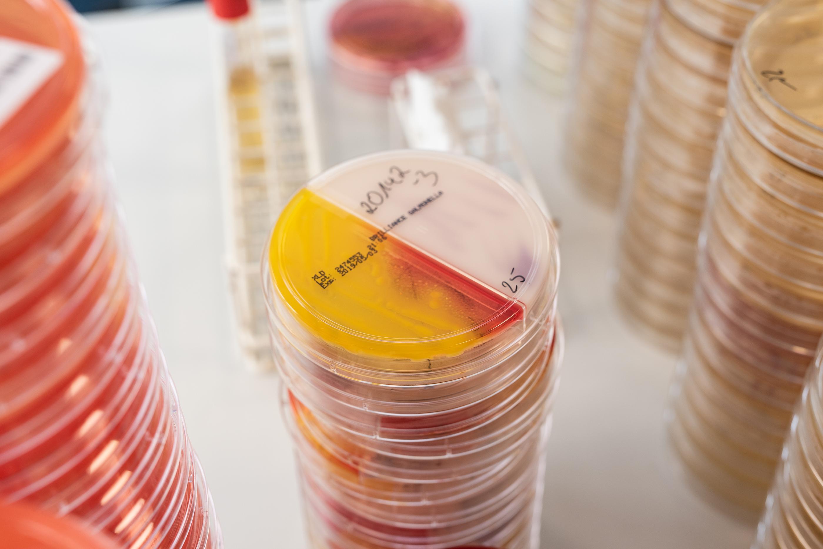 Analysis of Baby Food | Tentamus Group
