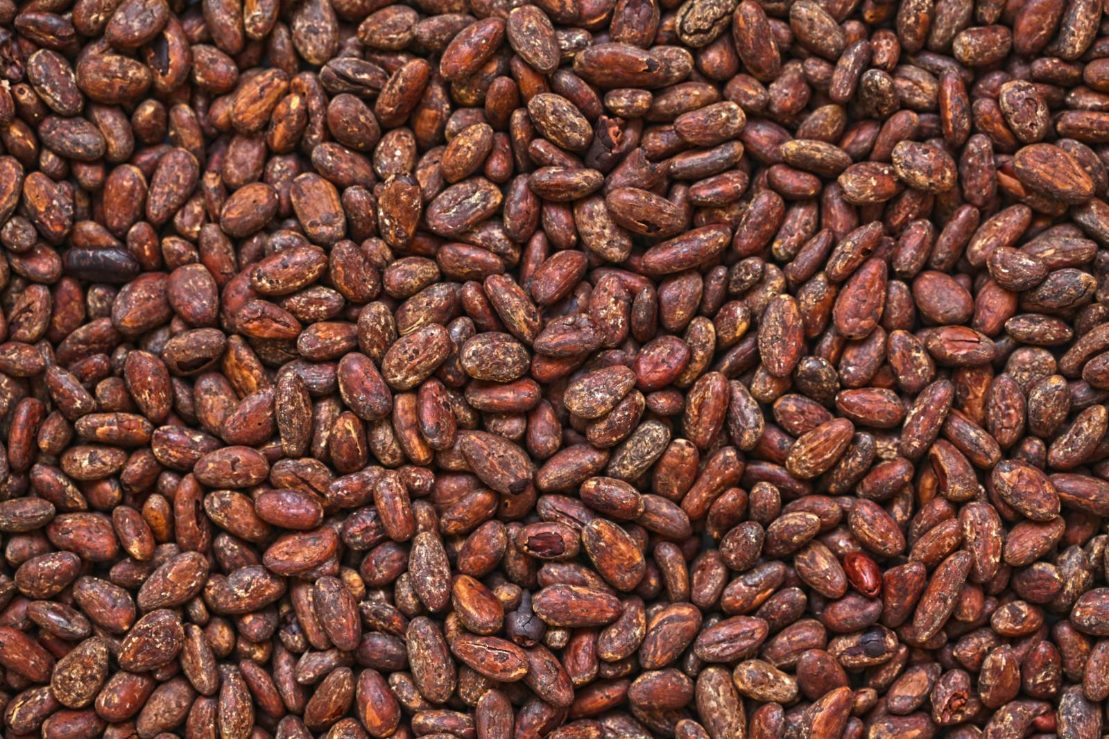 Analysis of Cocoa in accredited Laboratories | Tentamus
