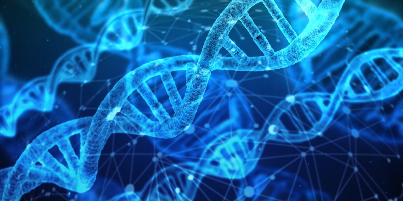 The in vitro mutagenicity assay - THE AMES TEST - Tentamus Group
