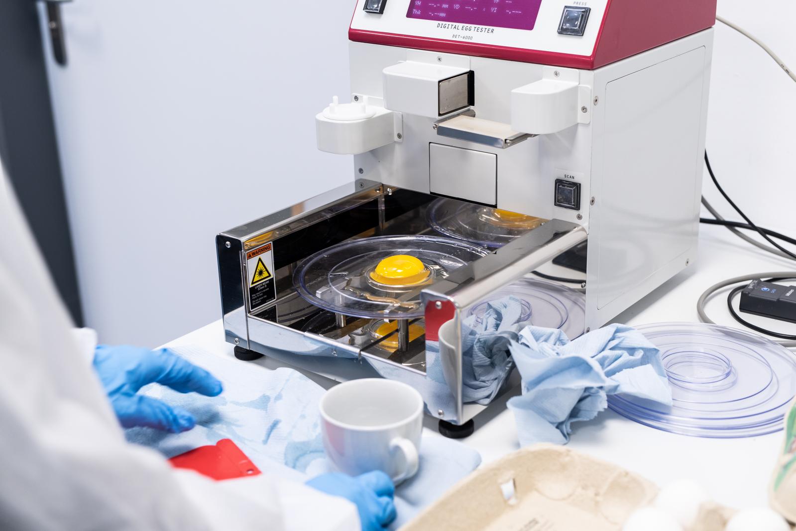 Analysis of eggs - Tentamus Group