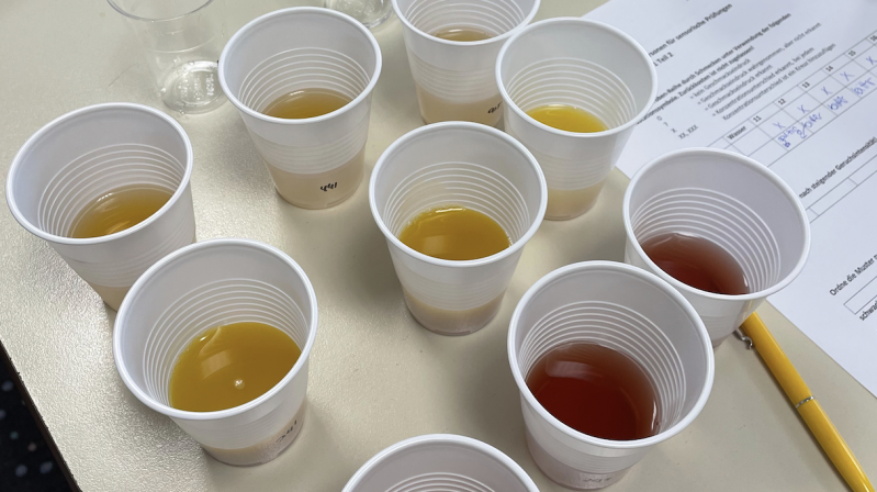 Sensory analysis - How flavour tests support product development ...